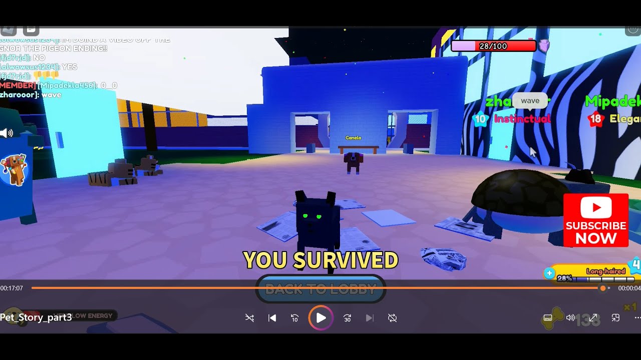 Pet Story part3 - YouTube