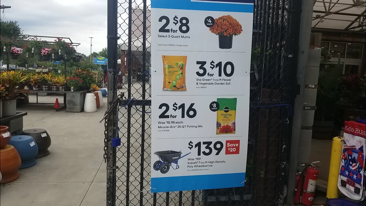 SALE|LOWES..I Also Found A Kadota FIG Tree/Barbados Cherry Tree💃💃💃 ...