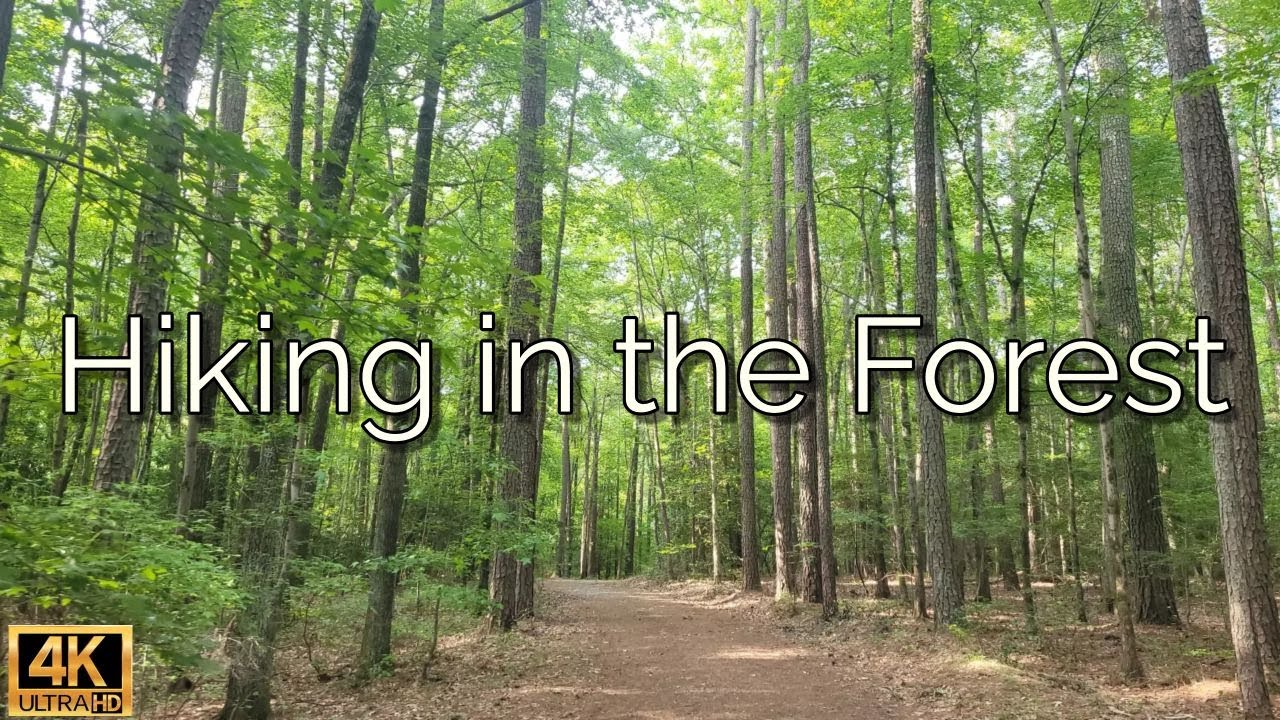 Hiking through Virginia - YouTube