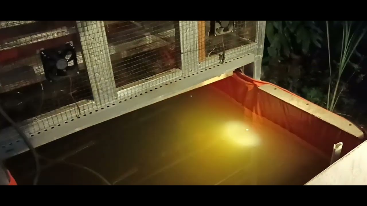 KOLAM HIDRO PONIK MULTI FUNGSI TANEMAN SAYURAN TERNAK AYAM KOLAM IKAN ...