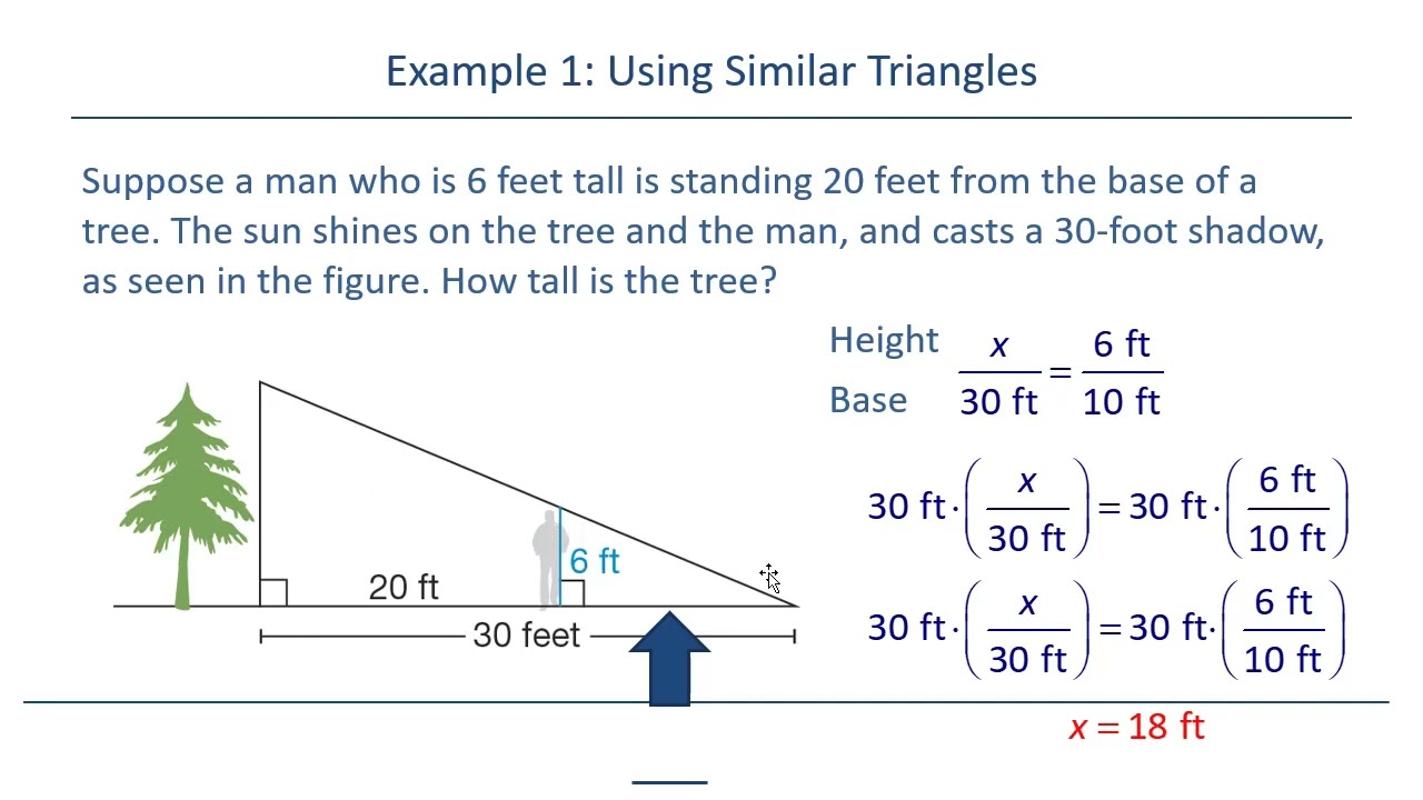 Perimeter and Area of Polygons and Circles - YouTube