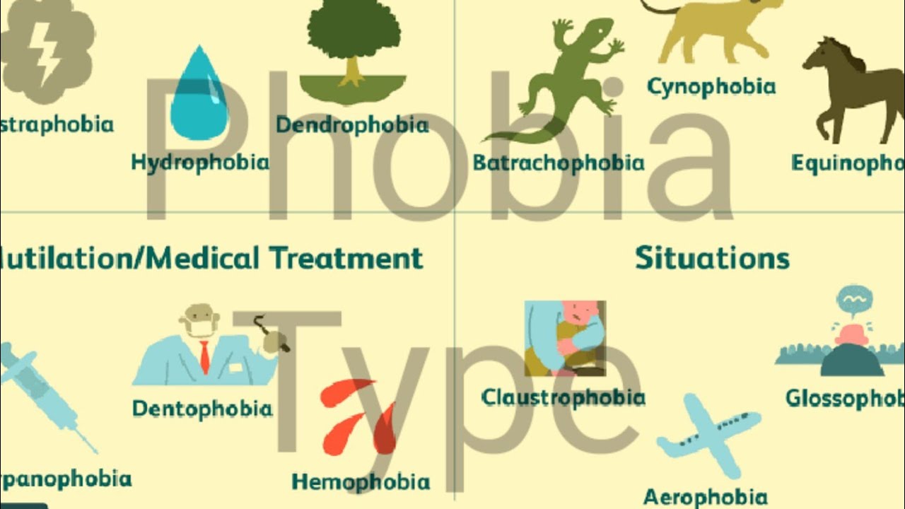 Vocabulary with Phobia/Phobia type/All about Phobia/ Phobia / phobia ...