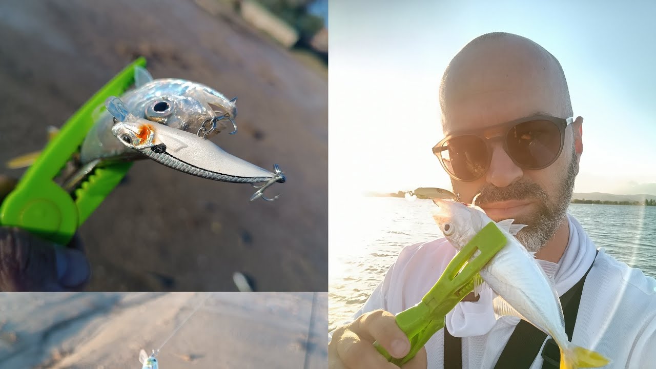 L.R.F για Κοκκαλια 🐠 Τα βρήκαμε....#fishing #lrf #greece #guellyjack ...
