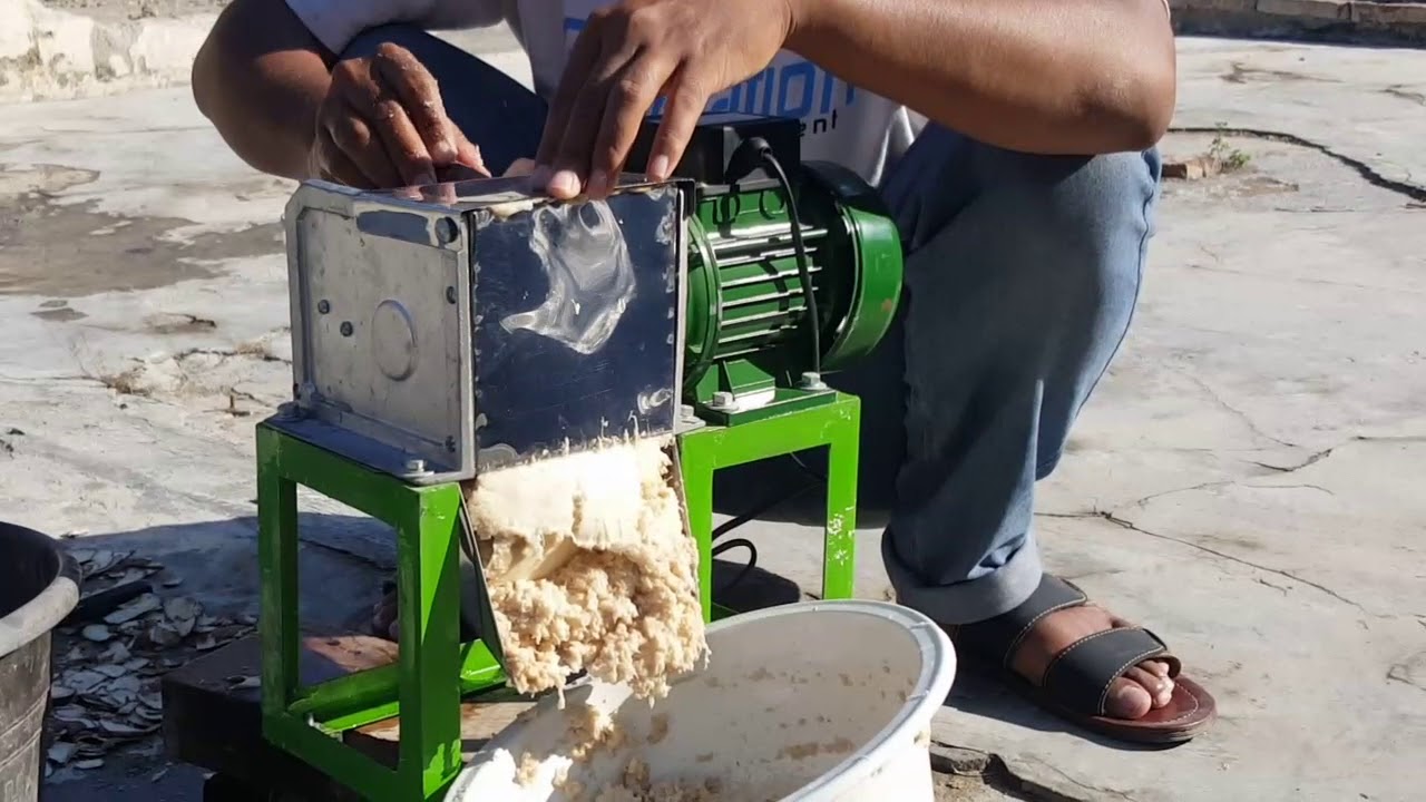 MESIN TEPUNG UBI JALAR #tepungubijalar #tepungtapioka #tepungubijalar ...
