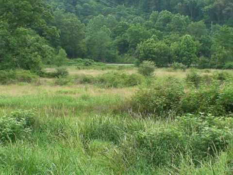 Lantz Farm & Nature Preserve - YouTube