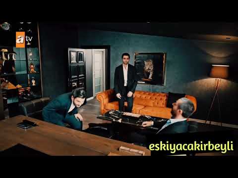 Hem aslan hem kaplan alparslan