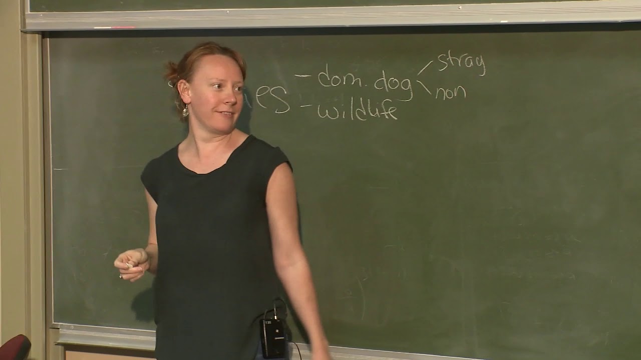 Creating a Model World to Address a Research Question (Pulliam, MMED ...