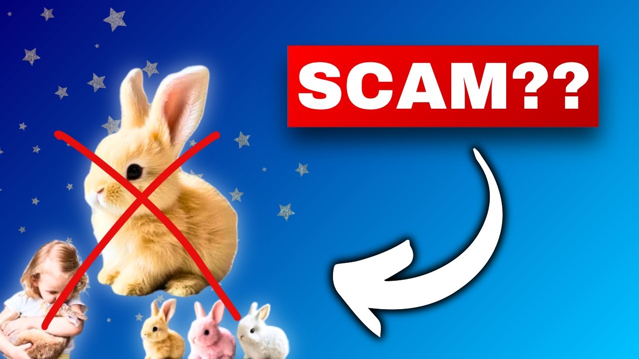 Bunby Realistic Bunny Toy Review: SCAM! or Legit?? - YouTube