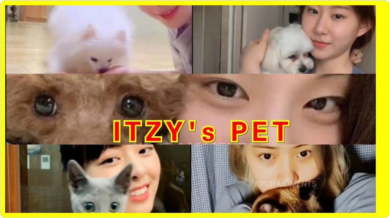 ITZY with Their PET (PETZY) - YouTube