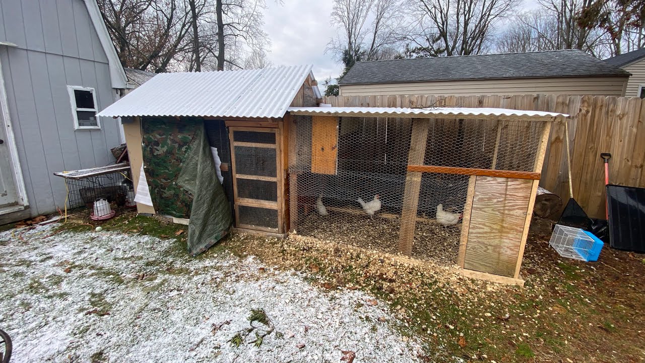 Asi amaneció el gallinero con una pequeña capa de nieve - YouTube