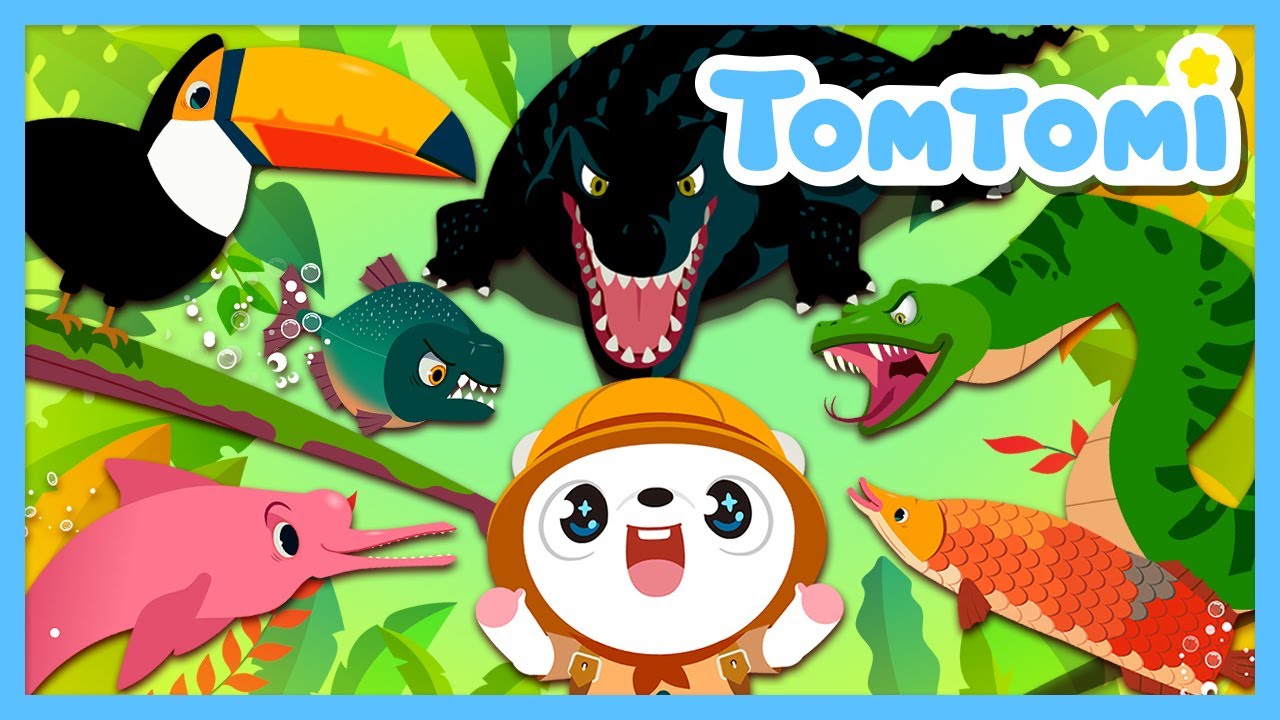 Animales Del Amazonas 🐬 | Canciones de Animales | Canciones Infantiles ...