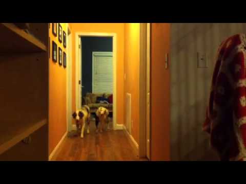 Jack, Jill, and Bria - YouTube