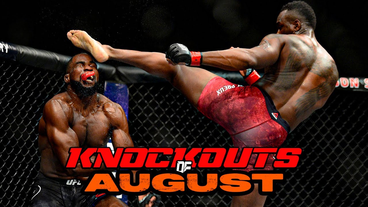 BEST MMA Knockouts of August 2025 - YouTube
