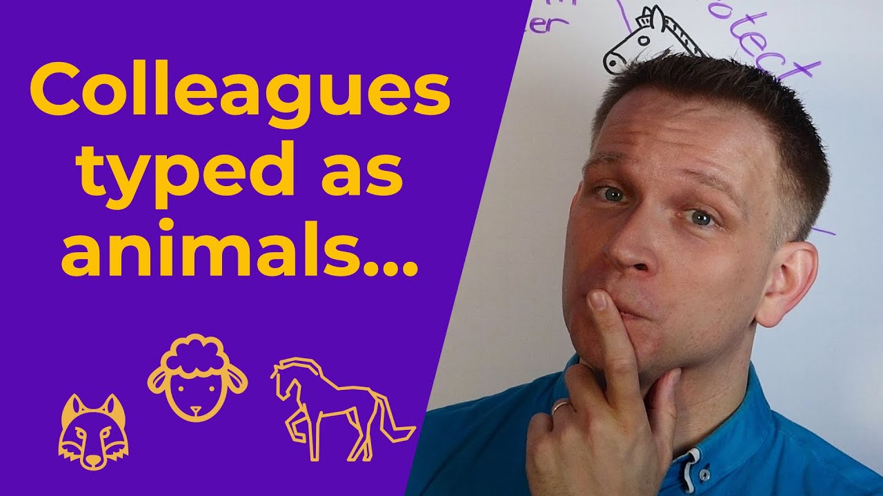 Project stakeholders typed by animal characters - YouTube