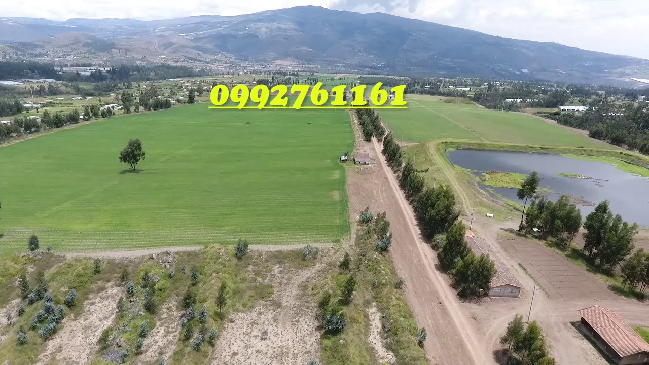 LA PRADERA DE PICALQUI TABACUNDO ECUADOR - YouTube