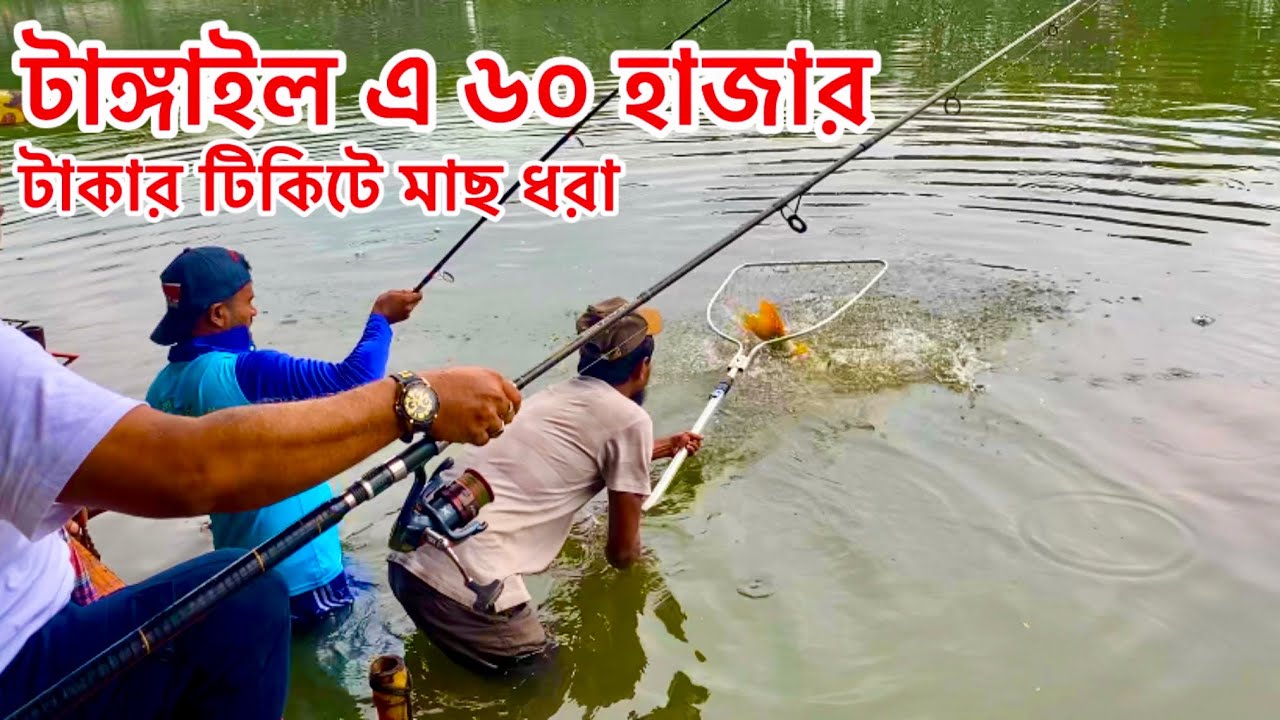 টাঙ্গাইলে ৬০ হাজার টাকার টিকিটে মাছ ধরা || Fishing in Tangail for a ticket of 60 thousand taka ...