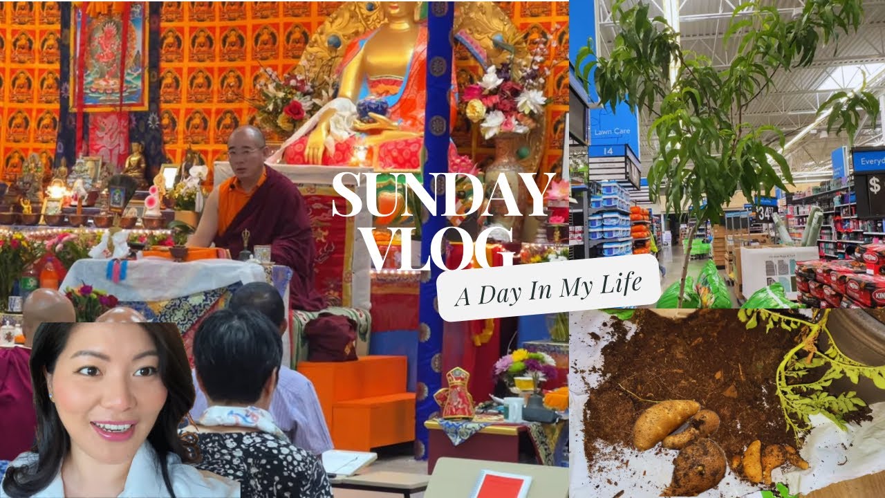 Nepali Vlog] Blessings by H.H. Gyangkhang Rinpoche | Bought A Peach ...