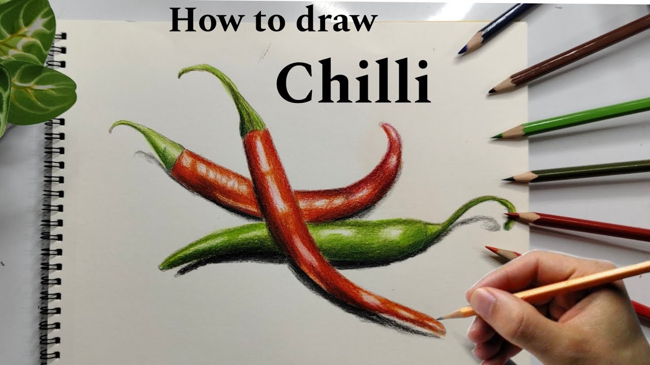 How to draw chillies|Fruit drawing|colour pencil drawingl drawing ...