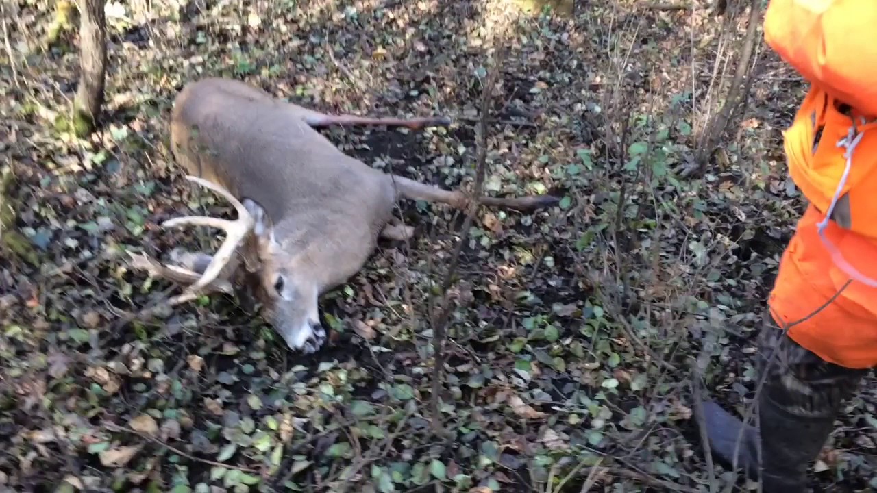 11 Point Non-typical Gun Buck Kill 2016 - YouTube