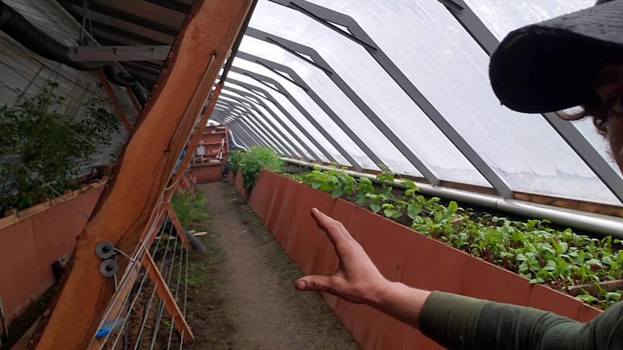 Geothermal passive solar greenhouse edensorganicroots update 1 - YouTube
