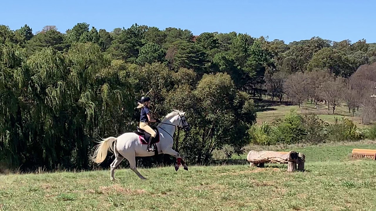 Pepper Jump 2 - YouTube