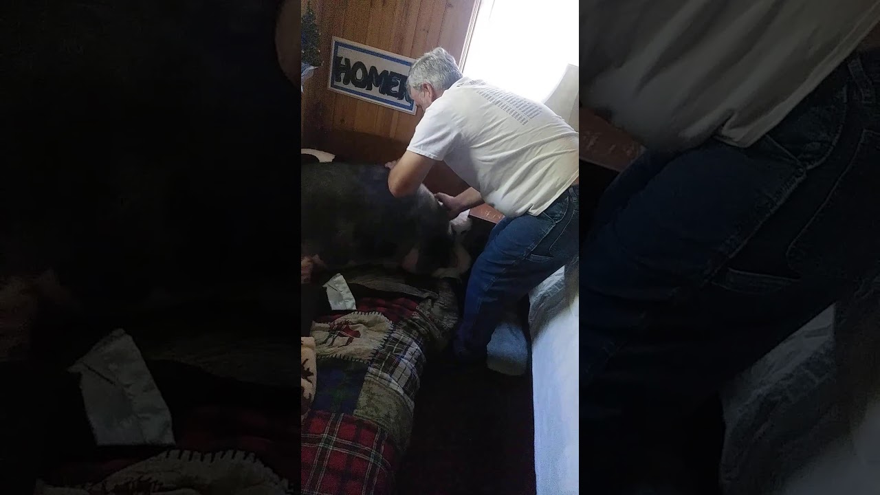 Major Tantrum - YouTube