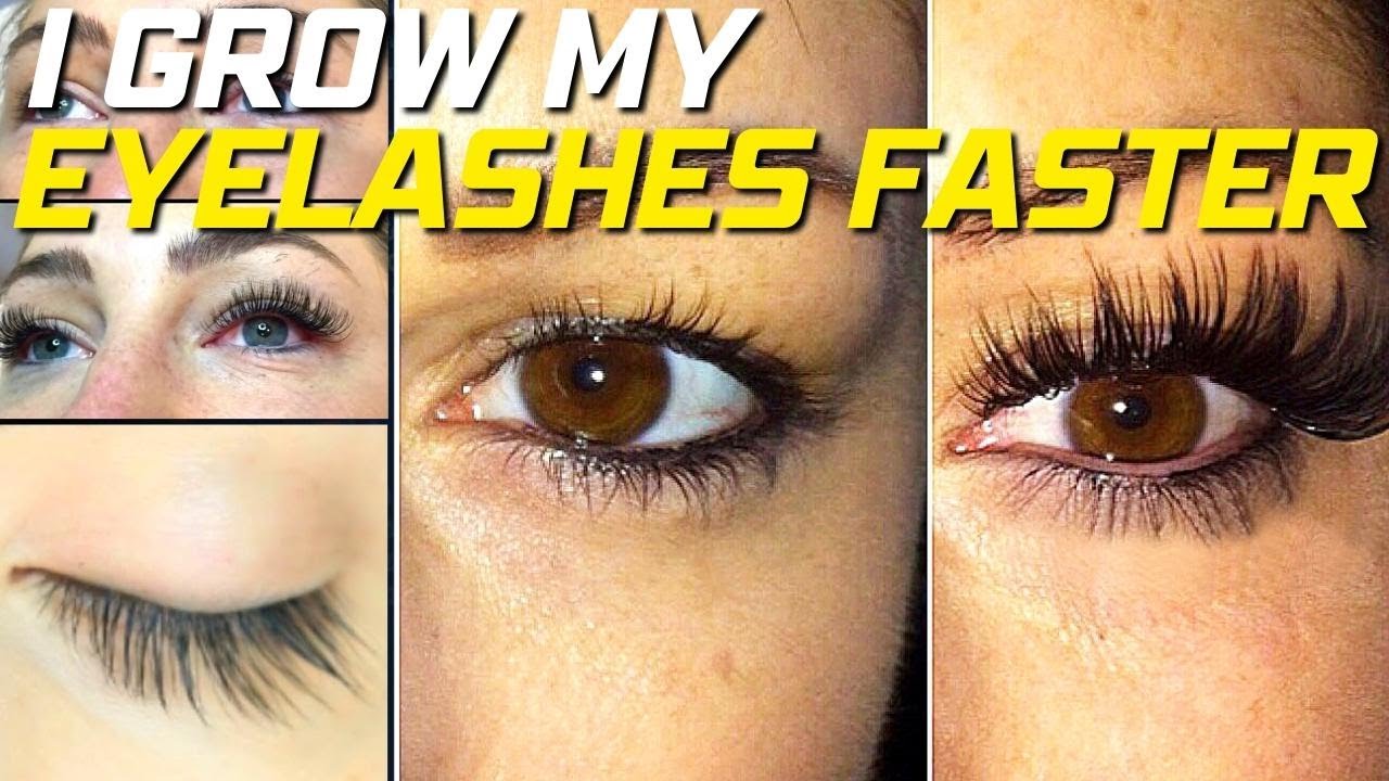 how eyelashes grow faster: how i grow my eyelashes - How can I grow my ...
