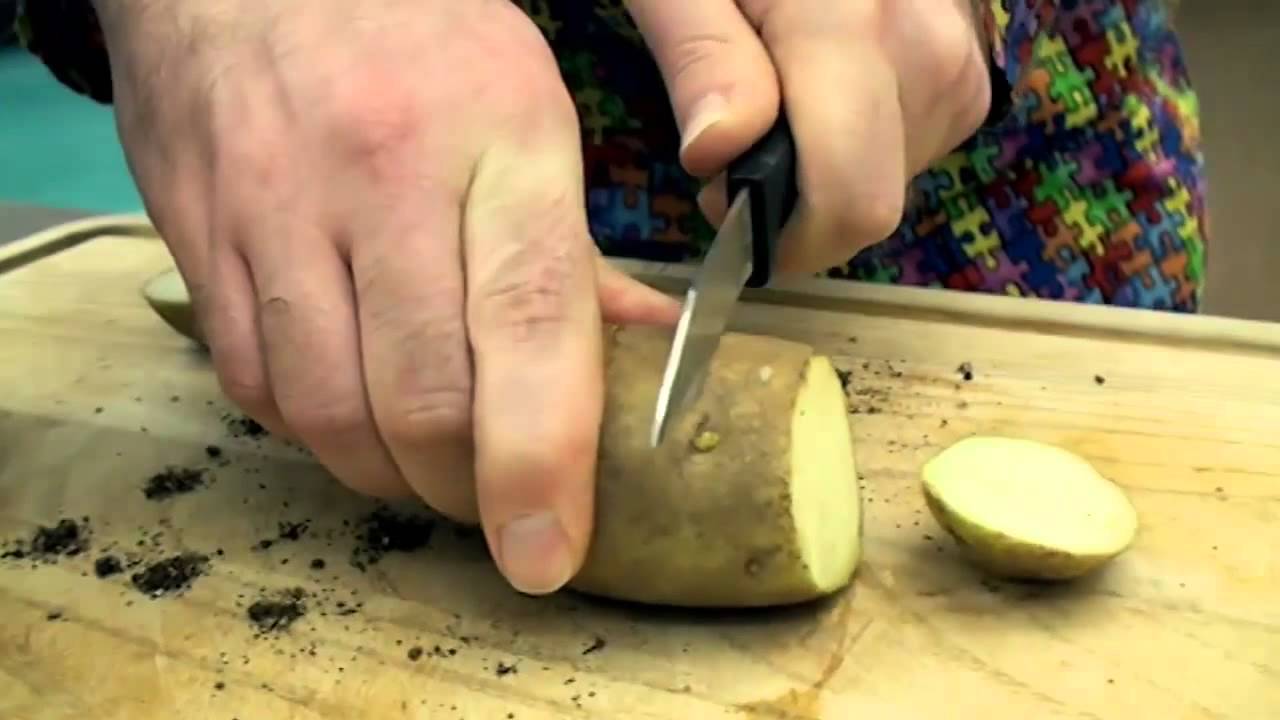 How to Clone a Potato | Biotechnology Learning Lab | The Children's Museum of Indianapolis - YouTube
