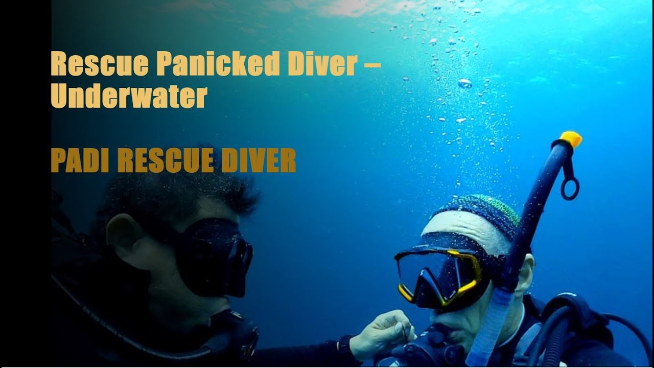 Rescue Panicked Diver - YouTube