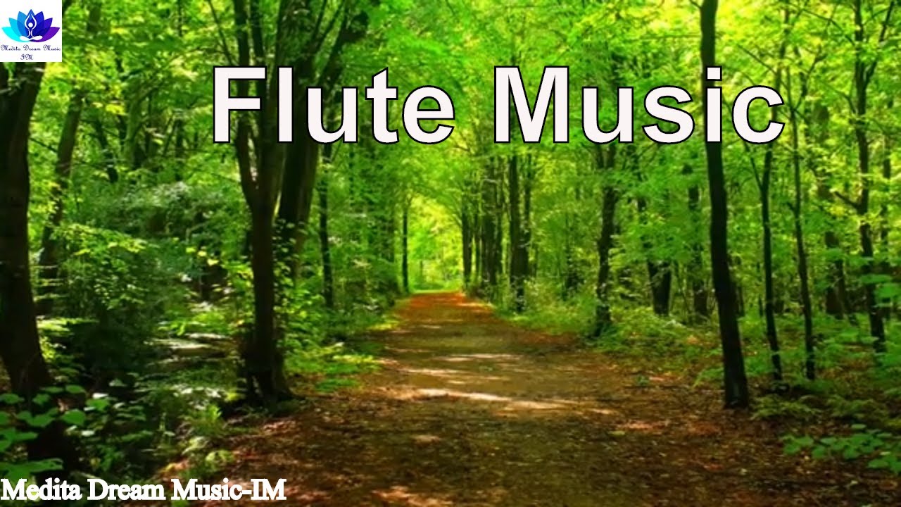 Flute Relax music with Nature forest, flute music relaxing, flute music ...