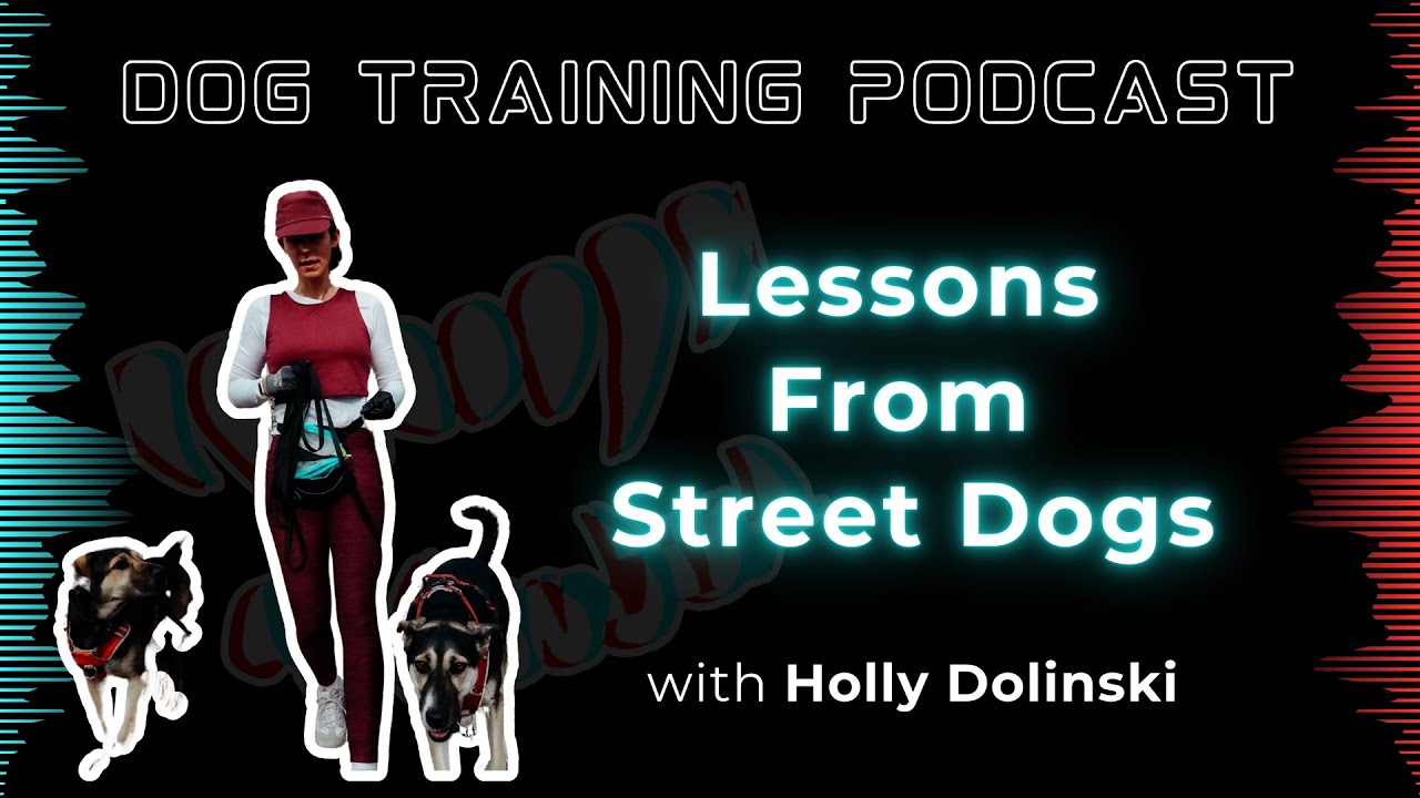 🎙️Canine Behavior Lessons from Street Dogs: | Ft. Holly Dolinski | Dog ...