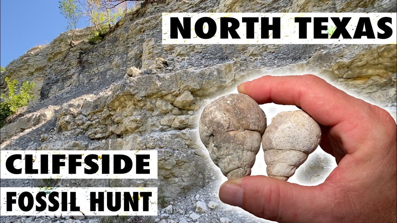 CLIFFSIDE FOSSIL HUNT - Hunting Fossils in North Texas - Dec 2023 # ...