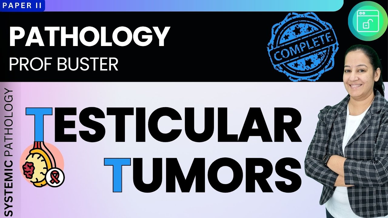 19.02 Testicular Tumors: A Comprehensive Overview | Dr. Priyanka ...