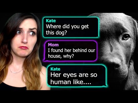 Nothing Better Happen To Any Dogs In This!! | MYSTERY DOG (Text Story)
