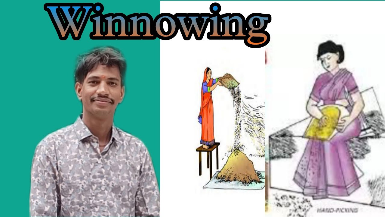 What is winnowing ? Chapter 3 Science class 6th by Pawan Lovewanshi sir ...