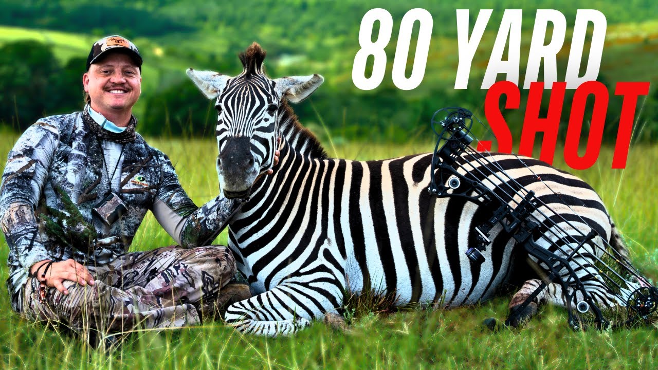 I bow hunted a ZEBRA! (Shot on iPhone) - YouTube