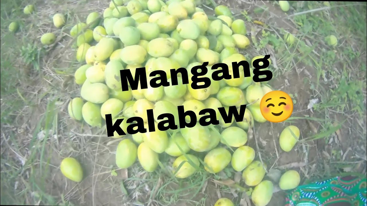 Mangang kalabaw mga ka adventure 😮 - YouTube