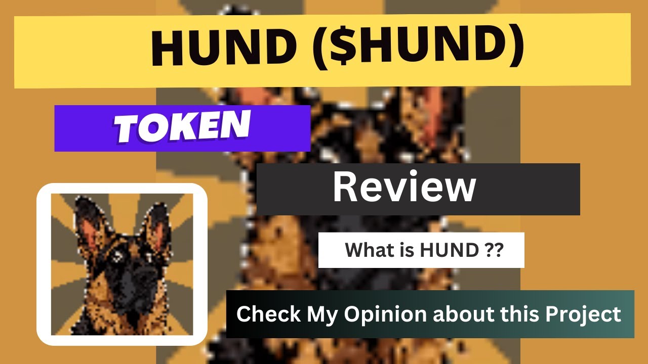 What is HUND (HUND) Coin | Review About HUND Token - YouTube