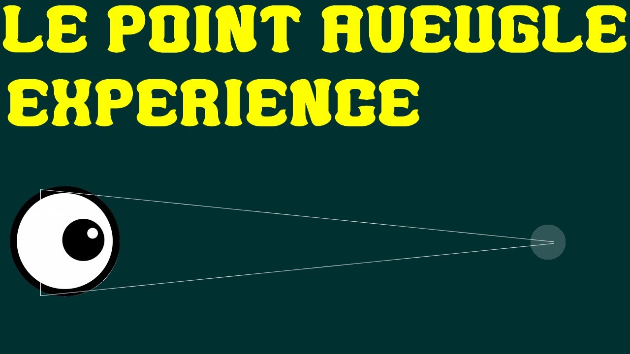 [EXPÉRIENCE] #1 Le point aveugle - YouTube