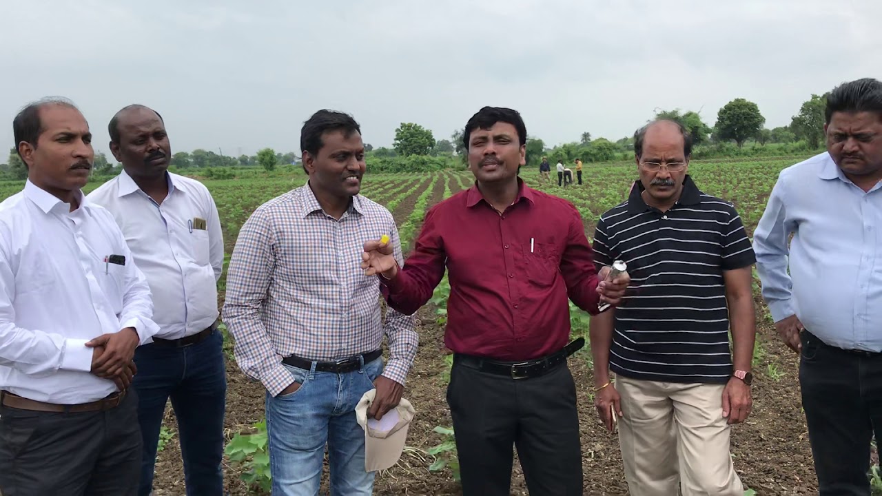 Field application demonstration of SPLAT PBW (Marathi) - YouTube