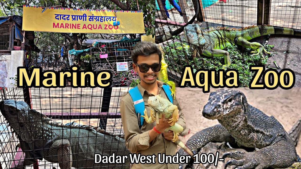 Marine Aqua Zoo | Recent Updates | Mumbai Zoo | Dadar West Zoo - YouTube