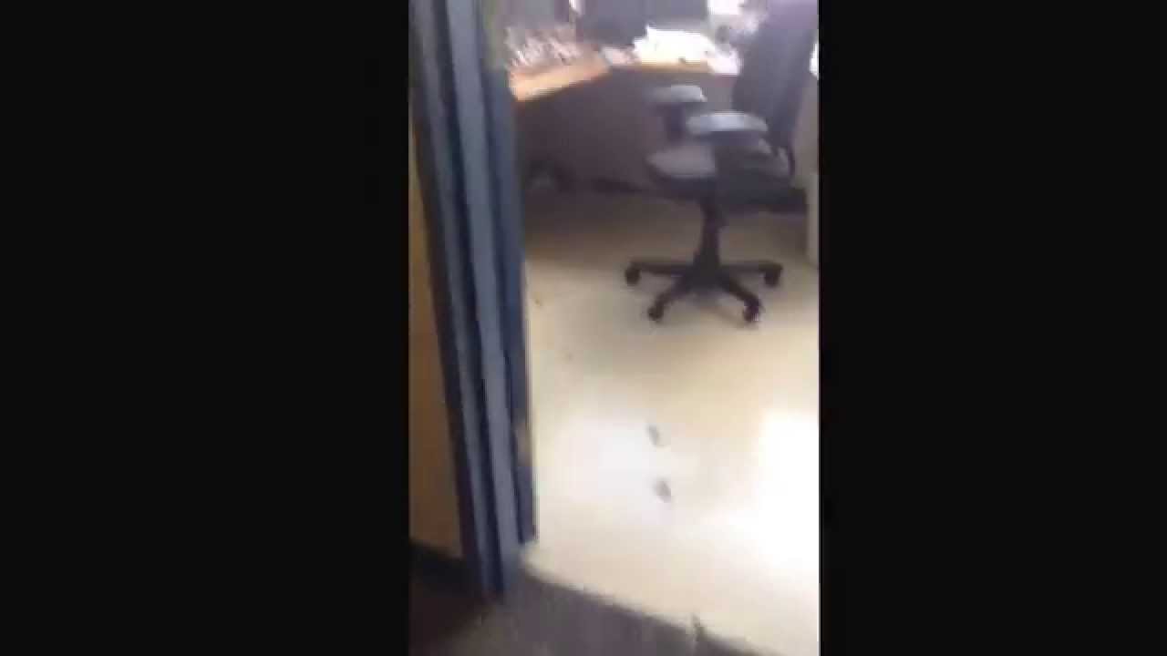 Office candy thief caught red handed. - YouTube