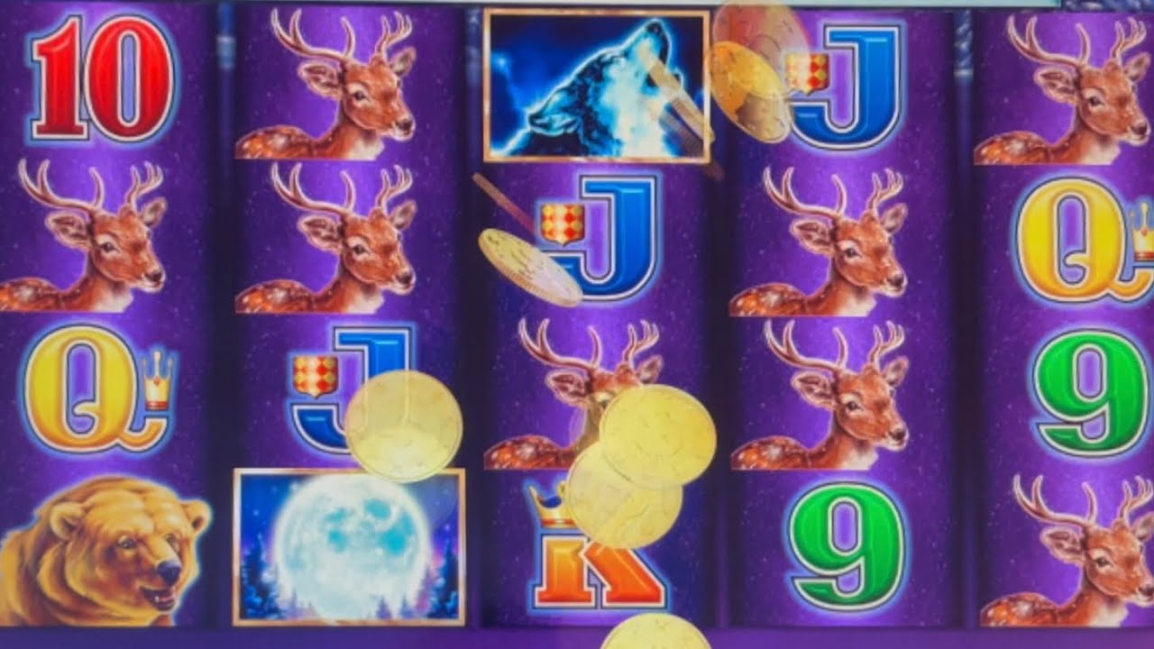 AMAZING HEARD OF DEER APPEARED💰 #win #casino #slotman #tiktok #wow # ...