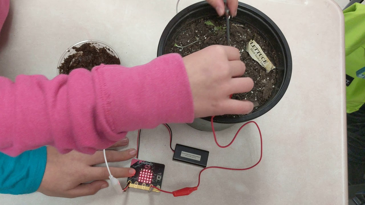 Micro:Bit Soil Moisture - YouTube