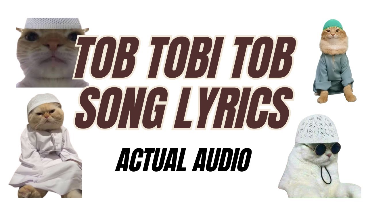 Tiktok Viral Tob Tobi Tob Tob Cat Ramadan Meme Funny Song | Lyric Video ...