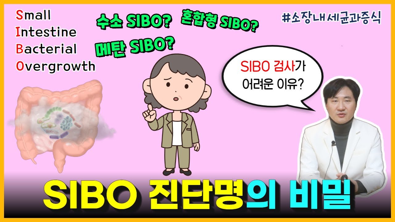 SIBO 진단이 어려운 이유 명쾌하게 알려드립니다 - YouTube