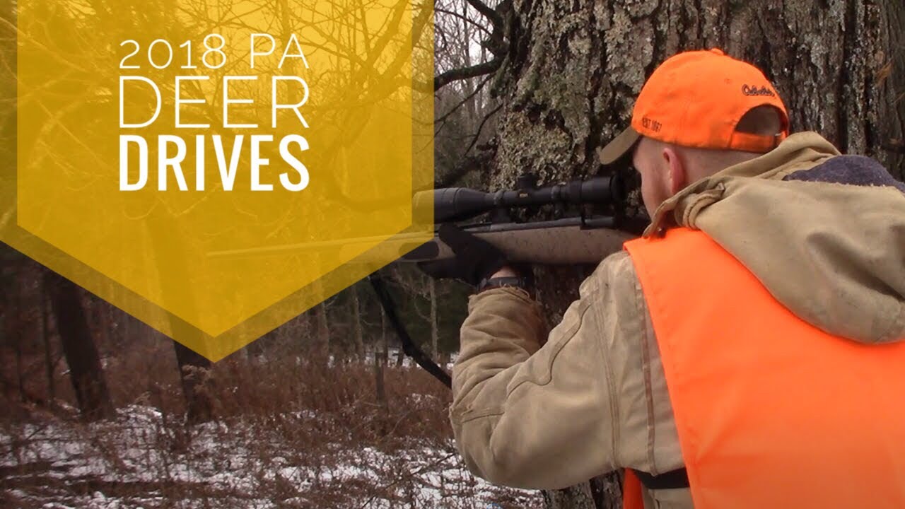 INCREDIBLE Day of Deer DRIVING! (Double HEART Shots!)-PA Gun Hunting ...