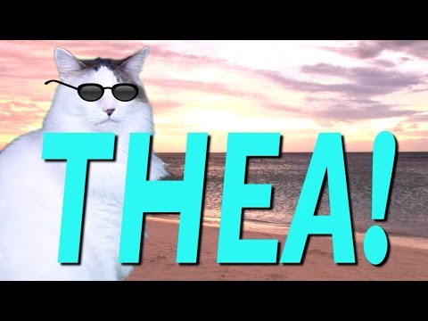 HAPPY BIRTHDAY THEA! - EPIC CAT Happy Birthday Song - YouTube
