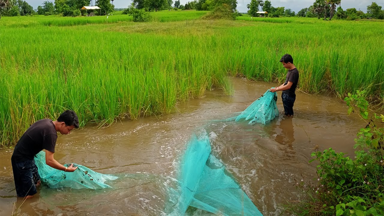 How to use a fishing net to get more fish - YouTube