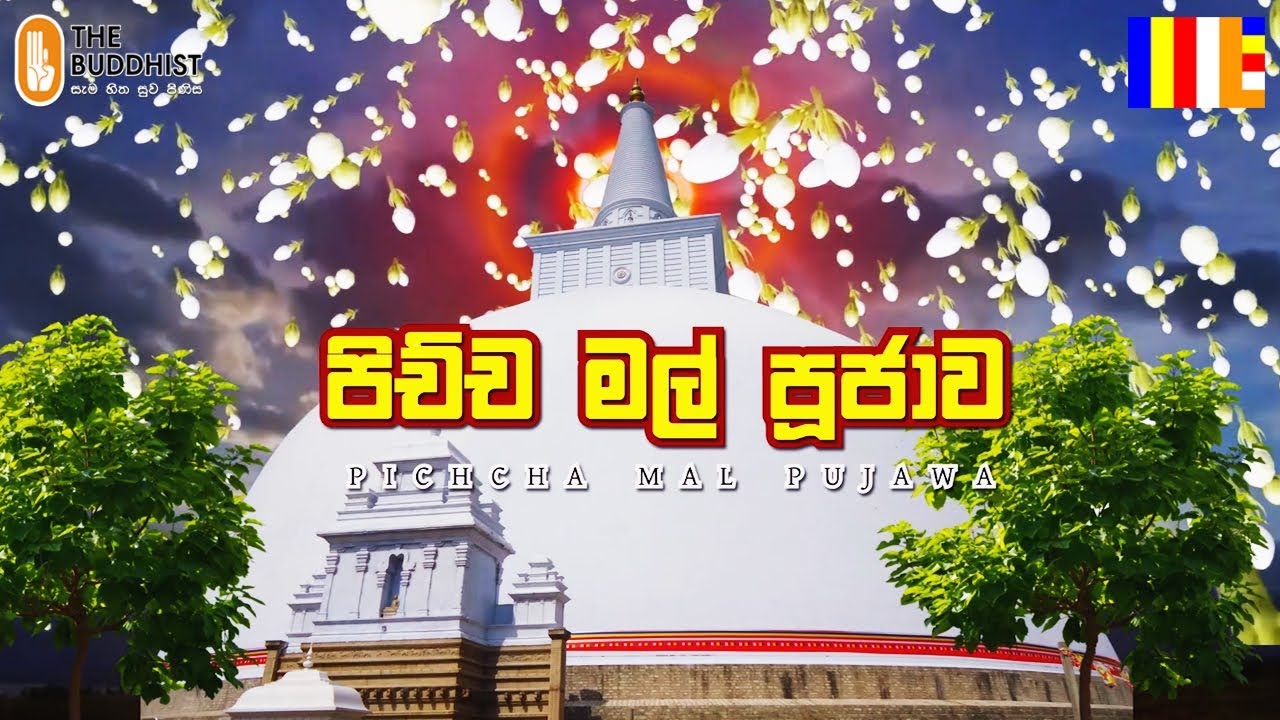 Pichcha Mal Poojawa | පිච්ච මල් පූජාව | 2019-08-19 - YouTube